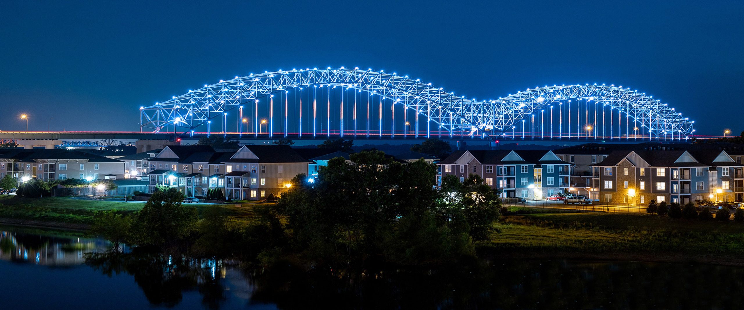 AAVA | American Academy of Veterinary Acupuncture